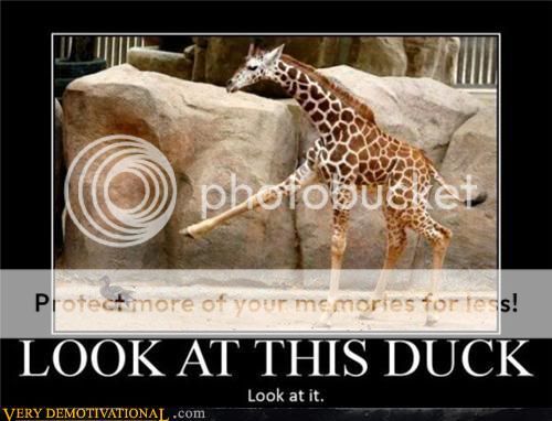 Funny Pictures Thread | Page 18 | OverTake (Formerly RaceDepartment)