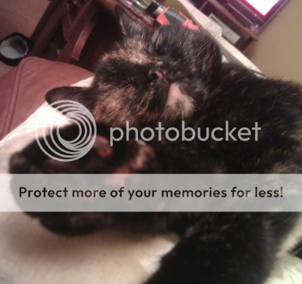 Stress reducing general rant thread - Page 9 - FlyerTalk Forums